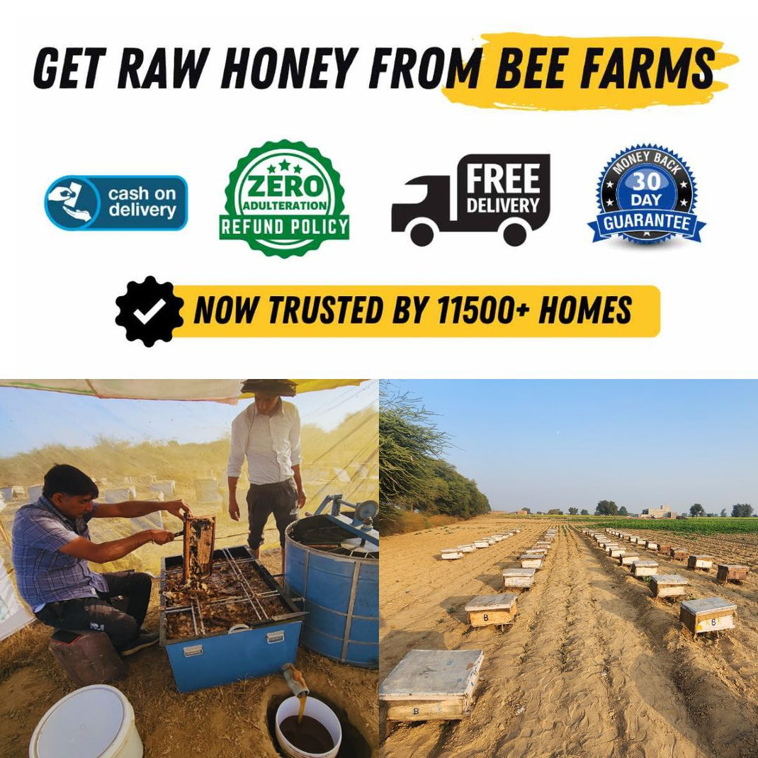 Buy Organic Raw Honey Online |Raw & Natural Honey – Scrolling Bee